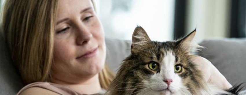 How often does your cat lap up fresh drinking water? - Black Hawk